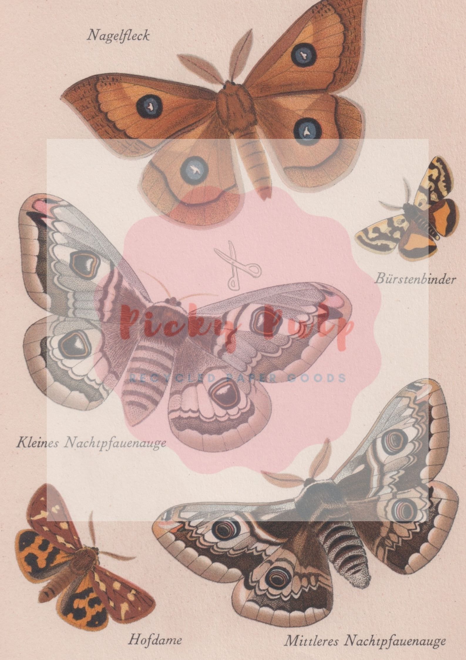 PRINTABLE Antique Moths German Illustrations Encyclopedia Book | Etsy