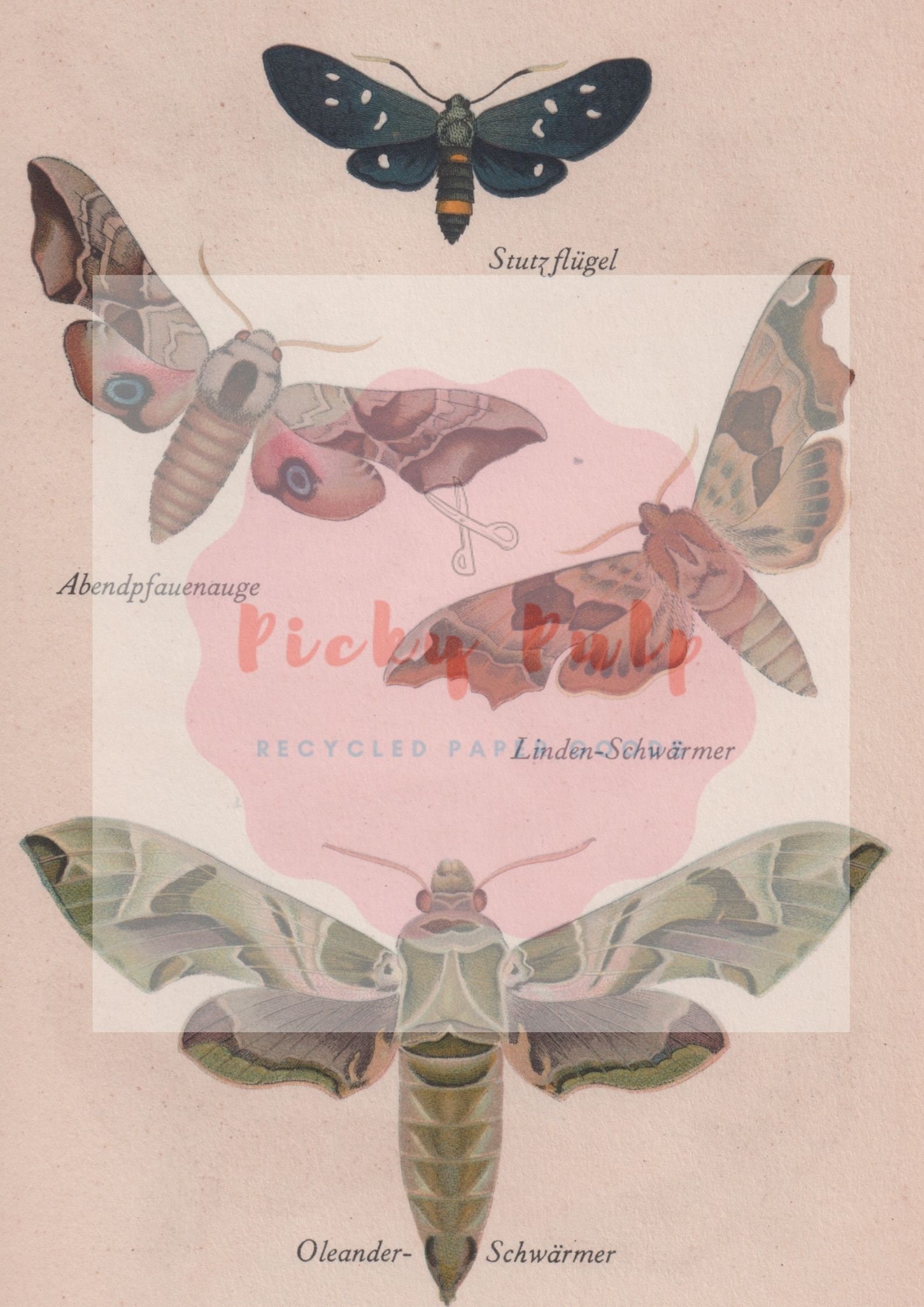 PRINTABLE Antique Moths German Illustrations Encyclopedia Book | Etsy