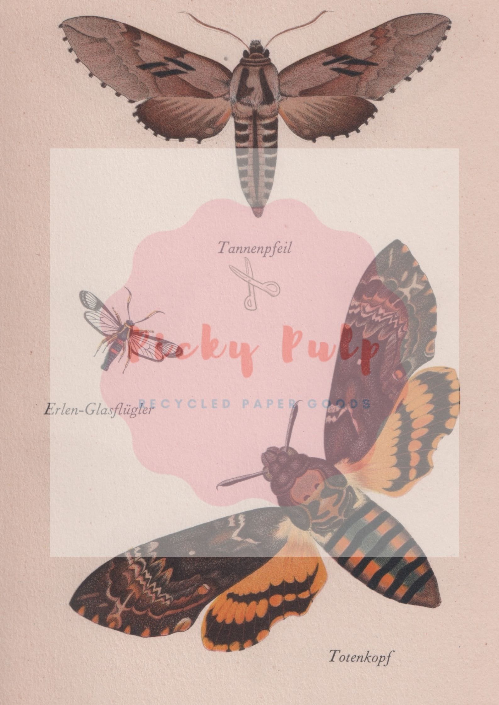 PRINTABLE Antique Moths German Illustrations Encyclopedia Book | Etsy