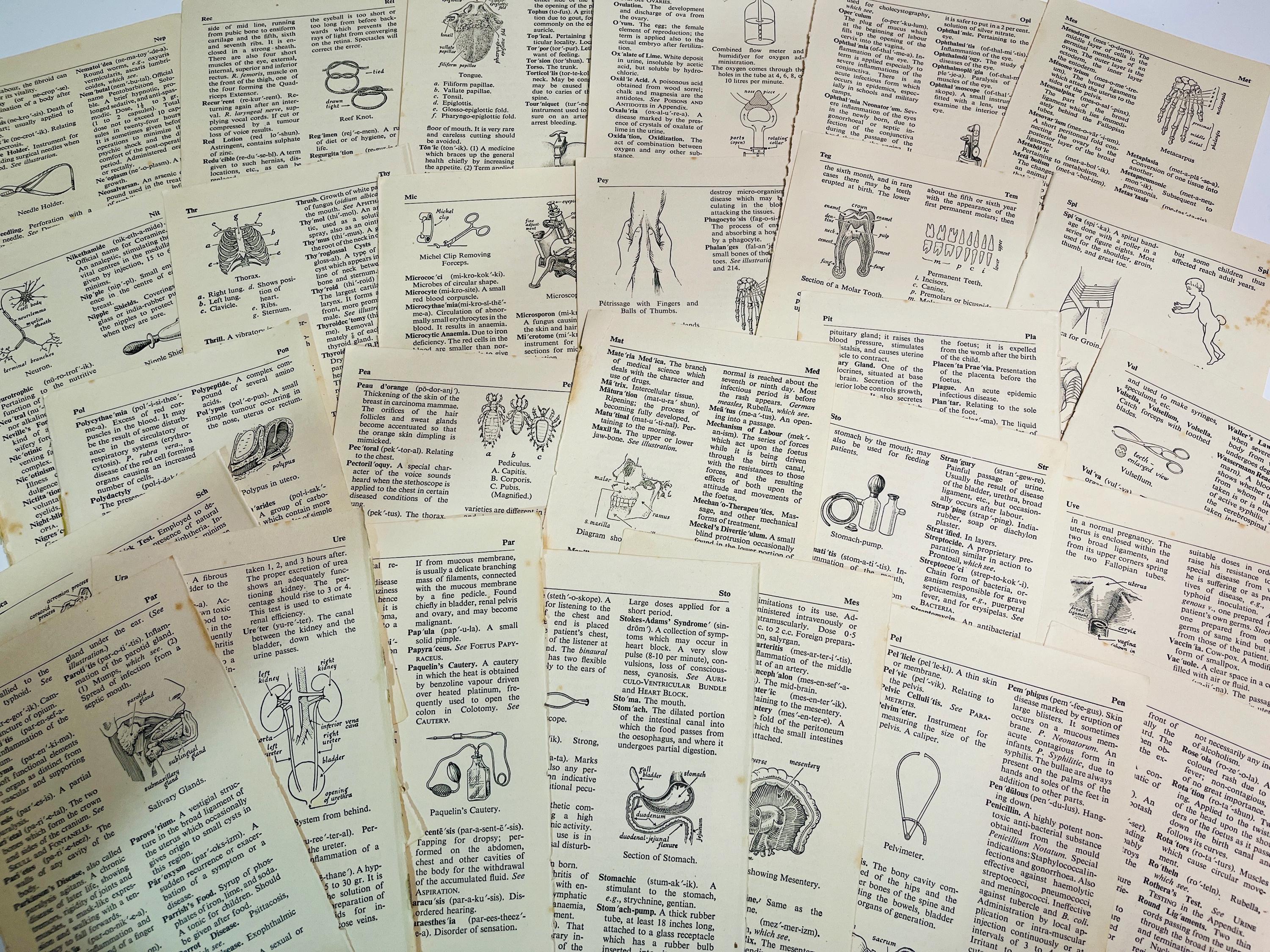 1940s Medical Dictionary Pages: Anatomy Ephemera for Collage - Etsy
