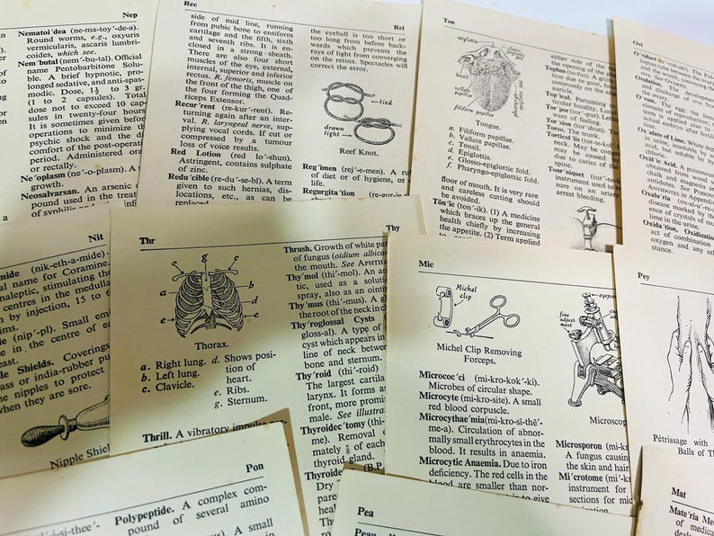 1940s Medical Dictionary Pages: Anatomy Ephemera for Collage - Etsy
