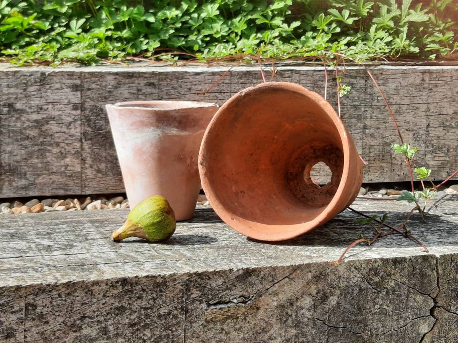 Antique Terracotta Flower Pots, Edwardian Hand Thrown Seedling Pots ...