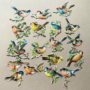 Antique Paper Ephemera, Die-cut Paperscraps Birds, Scrapbooking ...