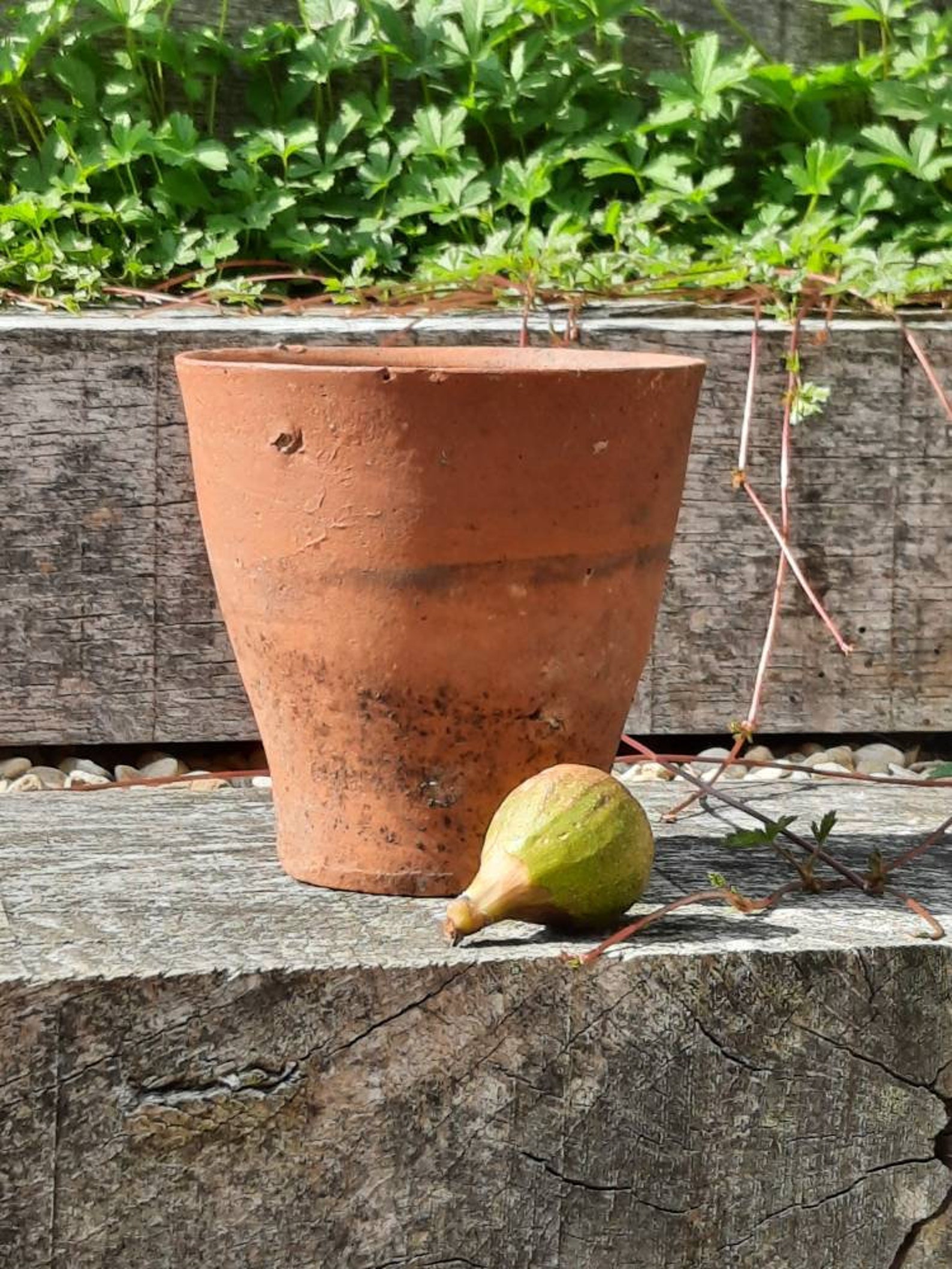 Antique Terracotta Flower Pots, Edwardian Hand Thrown Seedling Pots ...
