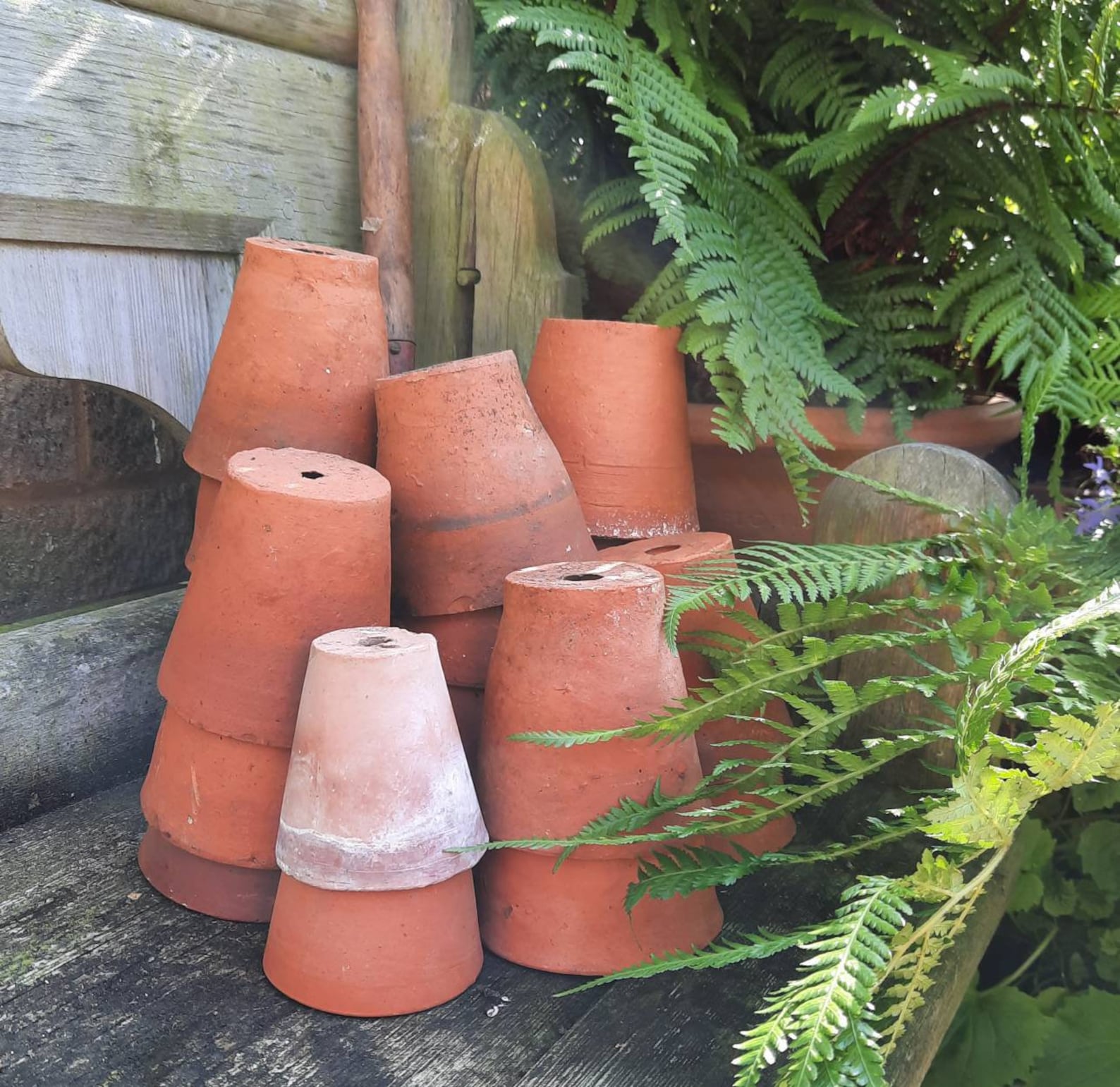 Antique Terracotta Flower Pots, Edwardian Hand Thrown Seedling Pots ...