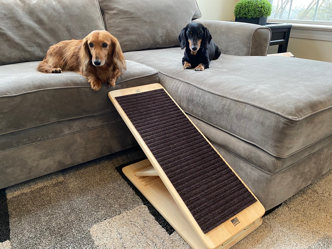 Dog Ramp THE Ramp for YOUR Pet - Etsy