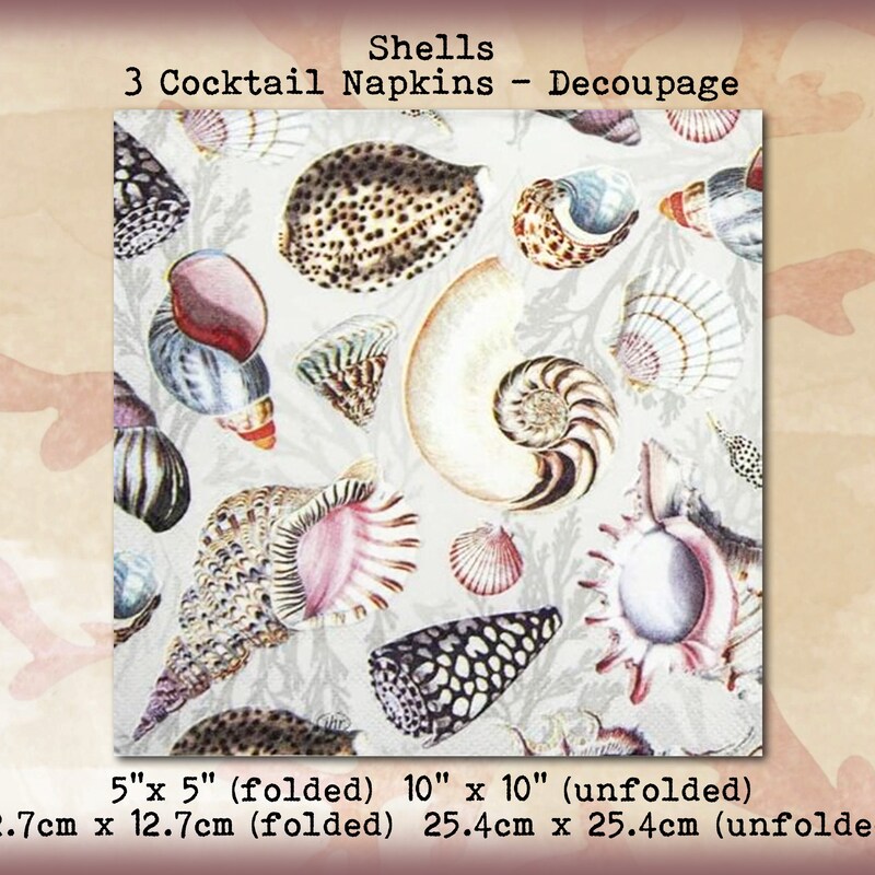 Decoupage Conch Shells - Etsy