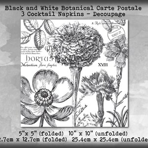 3 Black and White Botanical Vintage Carte Postale 5" Cocktail Beverage ...