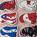 Cats as Country Flags of the World Stickers United States United ...