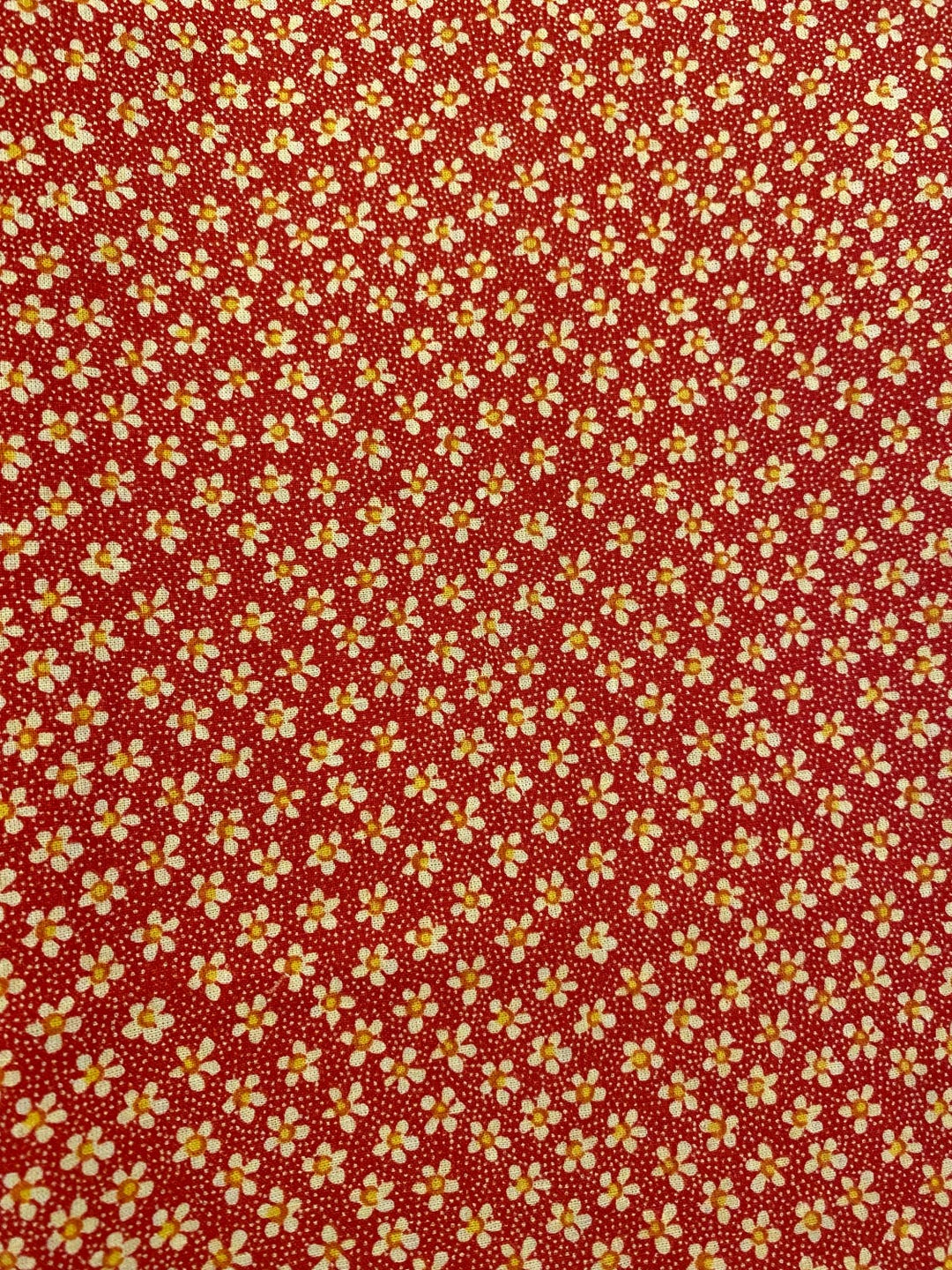 Vintage Daisy Print on Red Background - Etsy