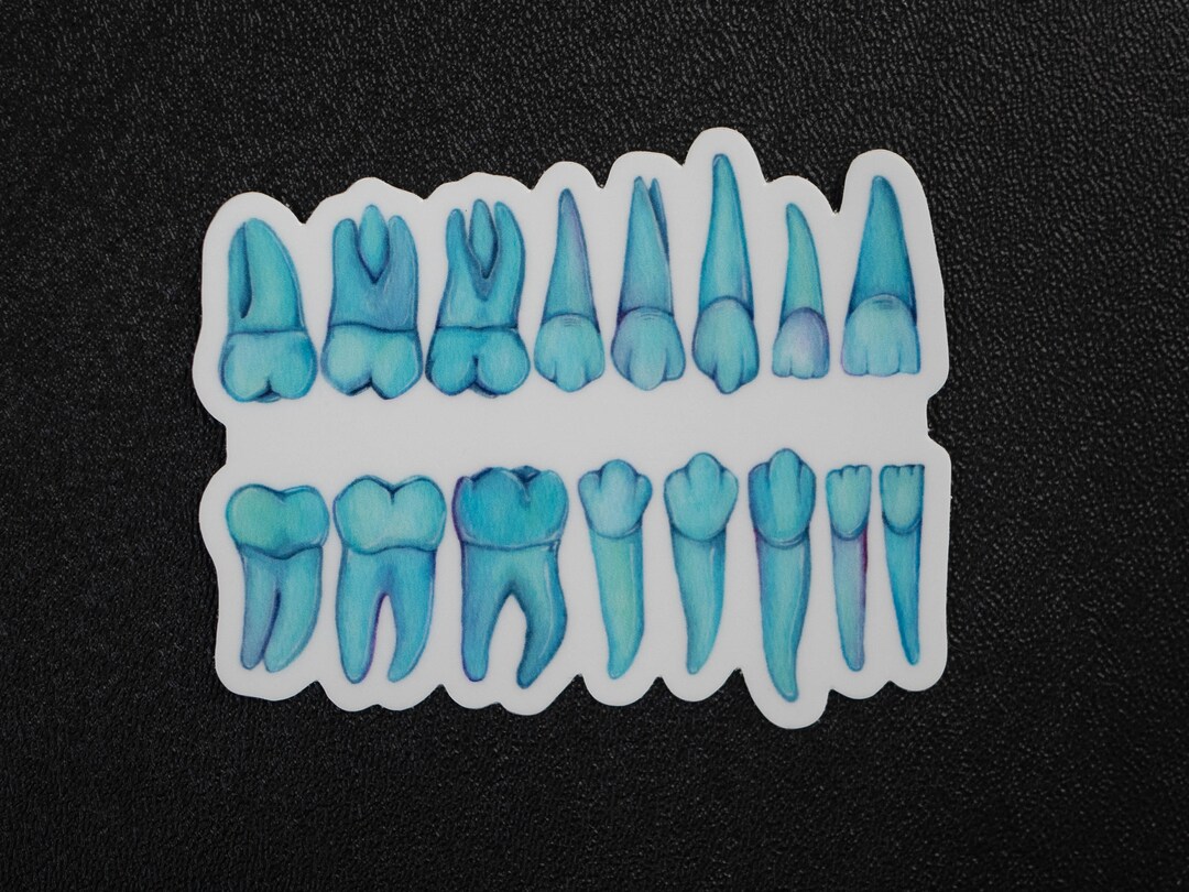 Teal Teeth Watercolor Vinyl Sticker - Etsy