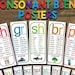 3 Letter Word Endings, Sound Wall, Phonics Posters, Color Coded ...