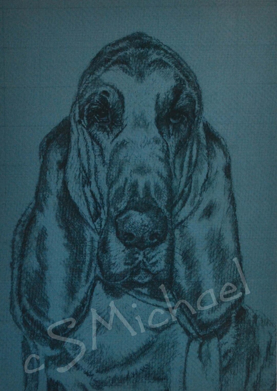 Bloodhound Drawing Print on 5" X 7" Premium Matte Paper - Etsy
