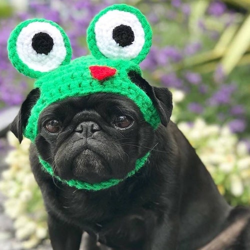Crochet Flower Dog Hat Flower Pug Hat Hats for Dogs Hats - Etsy