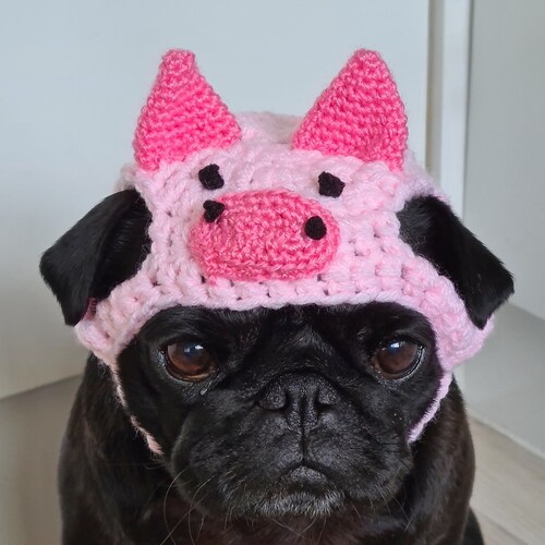 Chewies Piggy Dog Hat Crochet Pig Hat Piglet Pug Hat Hats - Etsy
