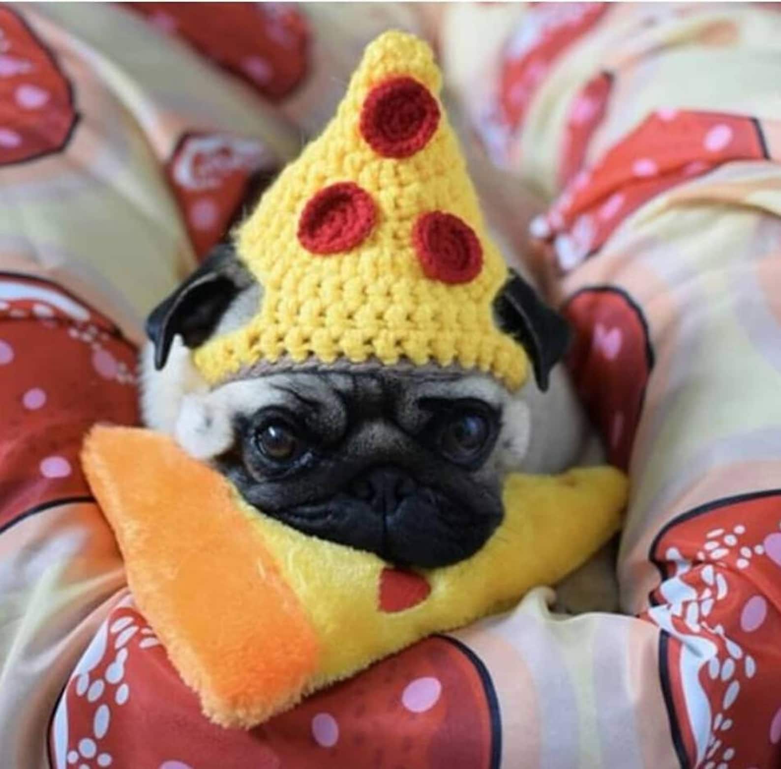 Crochet Pizza Dog Hat; Pizza Hat; Pug Hat; Hats for Dogs; Hats for Pugs ...