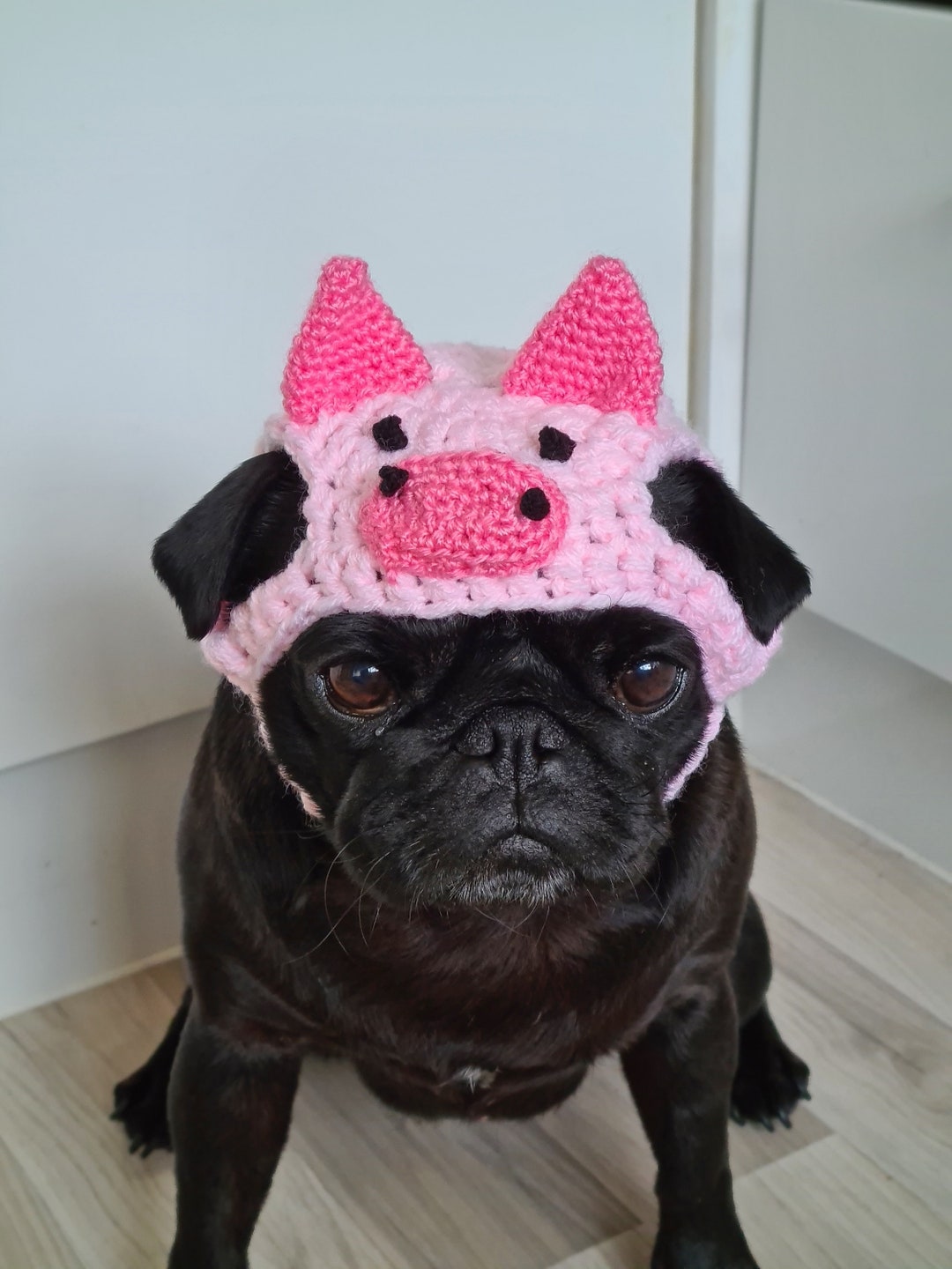 Chewies Piggy Dog Hat; Crochet Pig Hat; Piglet Pug Hat; Hats for Dogs ...