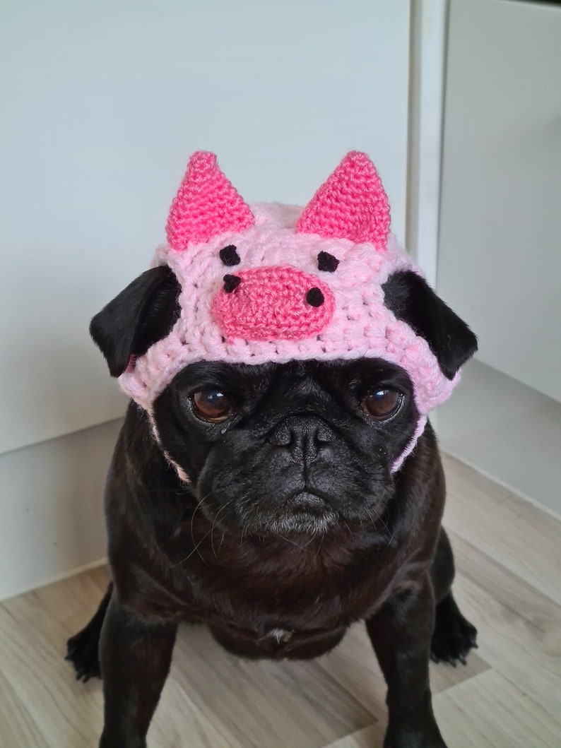 Chewies Piggy Dog Hat; Crochet Pig Hat; Piglet Pug Hat; Hats for Dogs ...