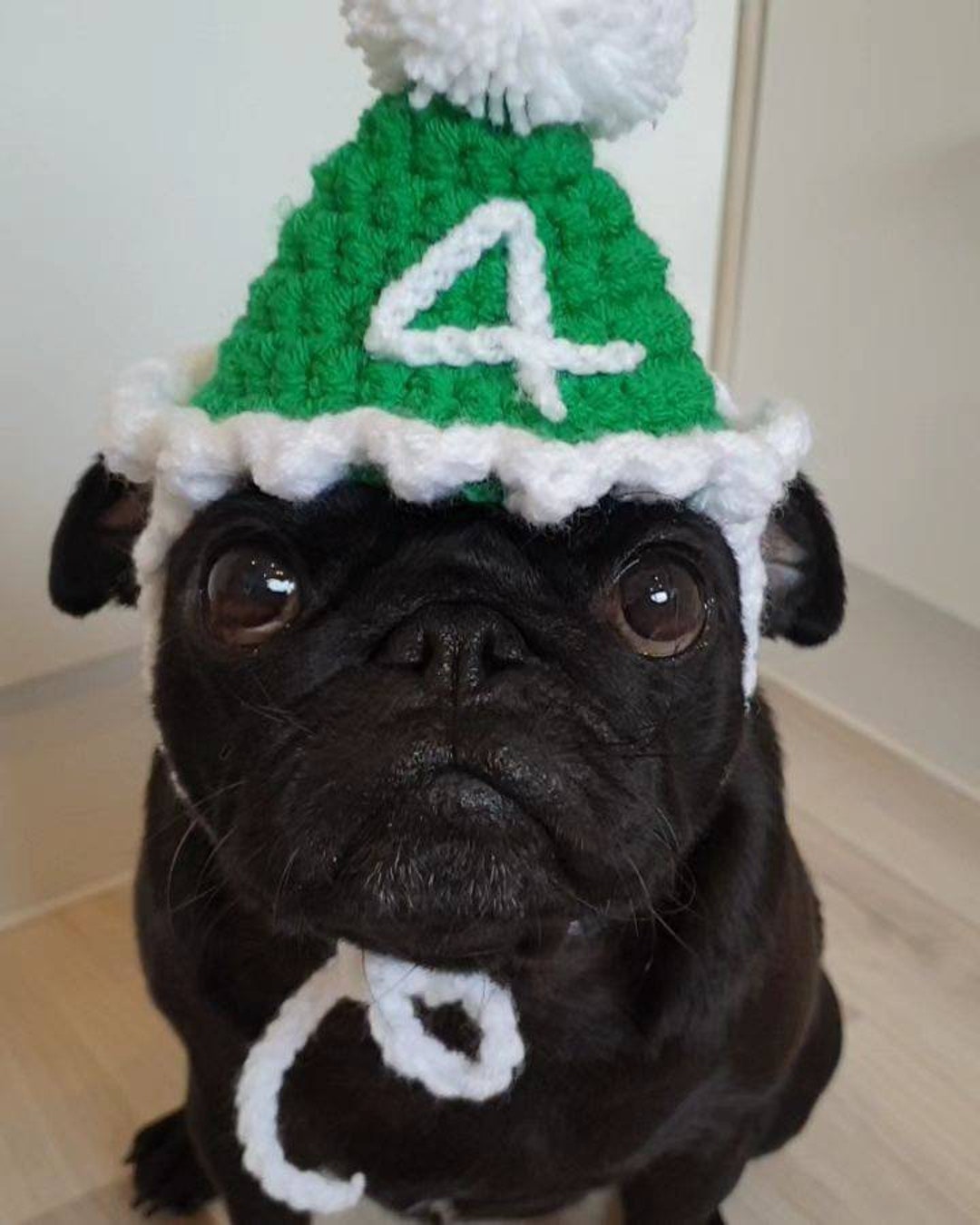 Crochet Birthday Dog Hat; Crochet Hat;crochet Party Hat; Hats for Dogs ...