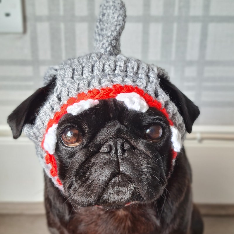 Hats for Dogs - Etsy