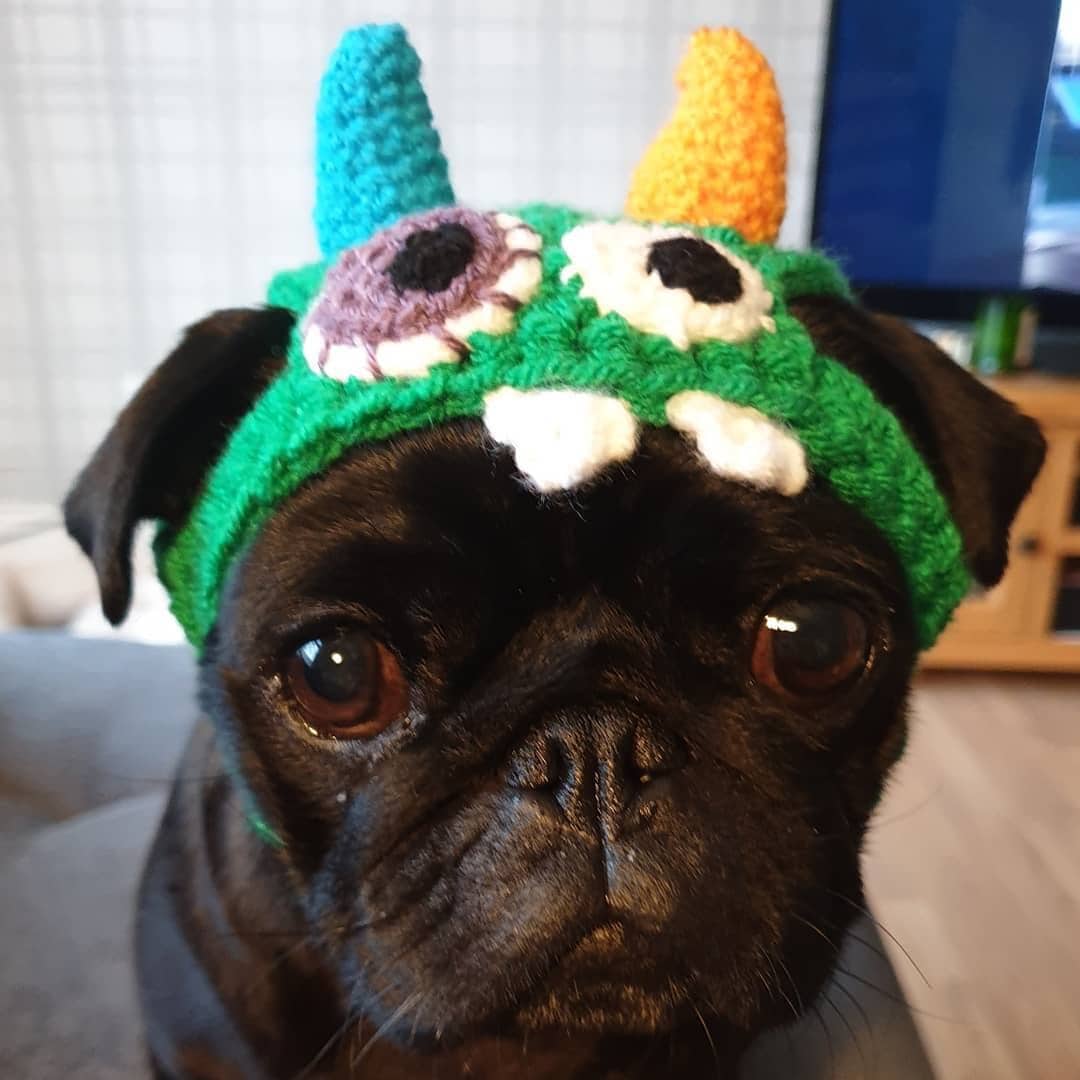Crochet Monster Dog Hat; Monster Pug Hat; Hats for Dogs; Hats for Pugs ...