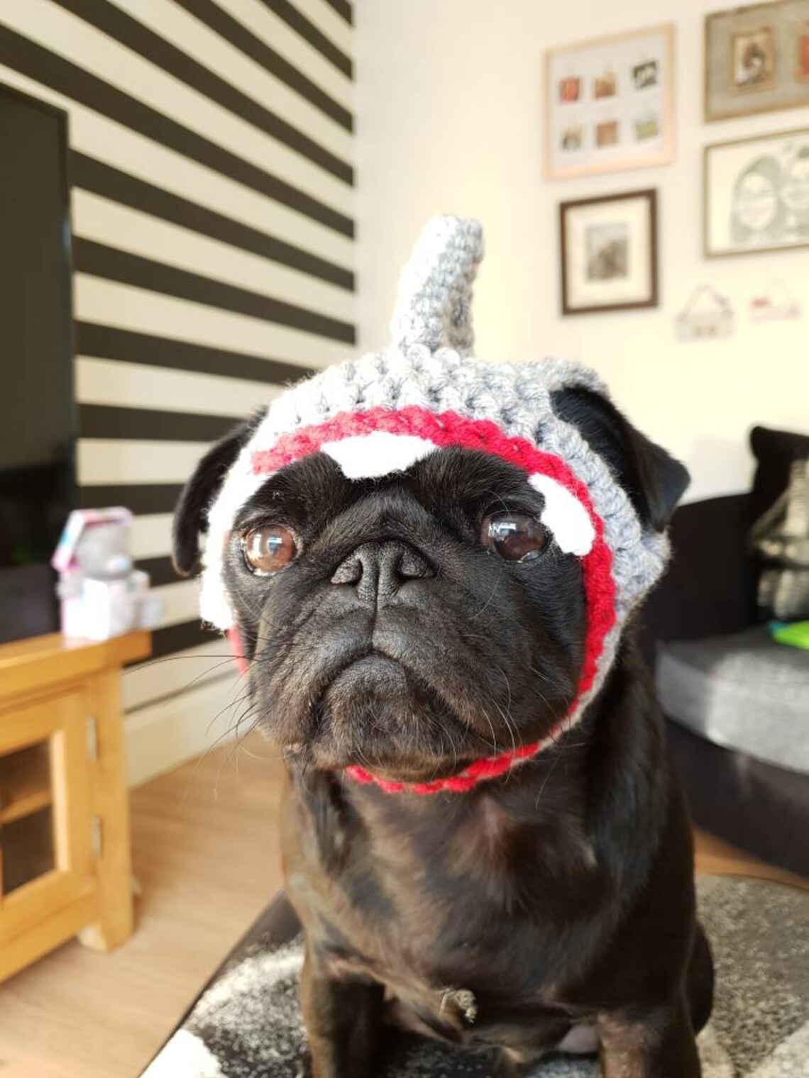 Chewies Shark Dog Hat; Crochet Shark Hat; Shark Pug Hat; Hats for Dogs ...