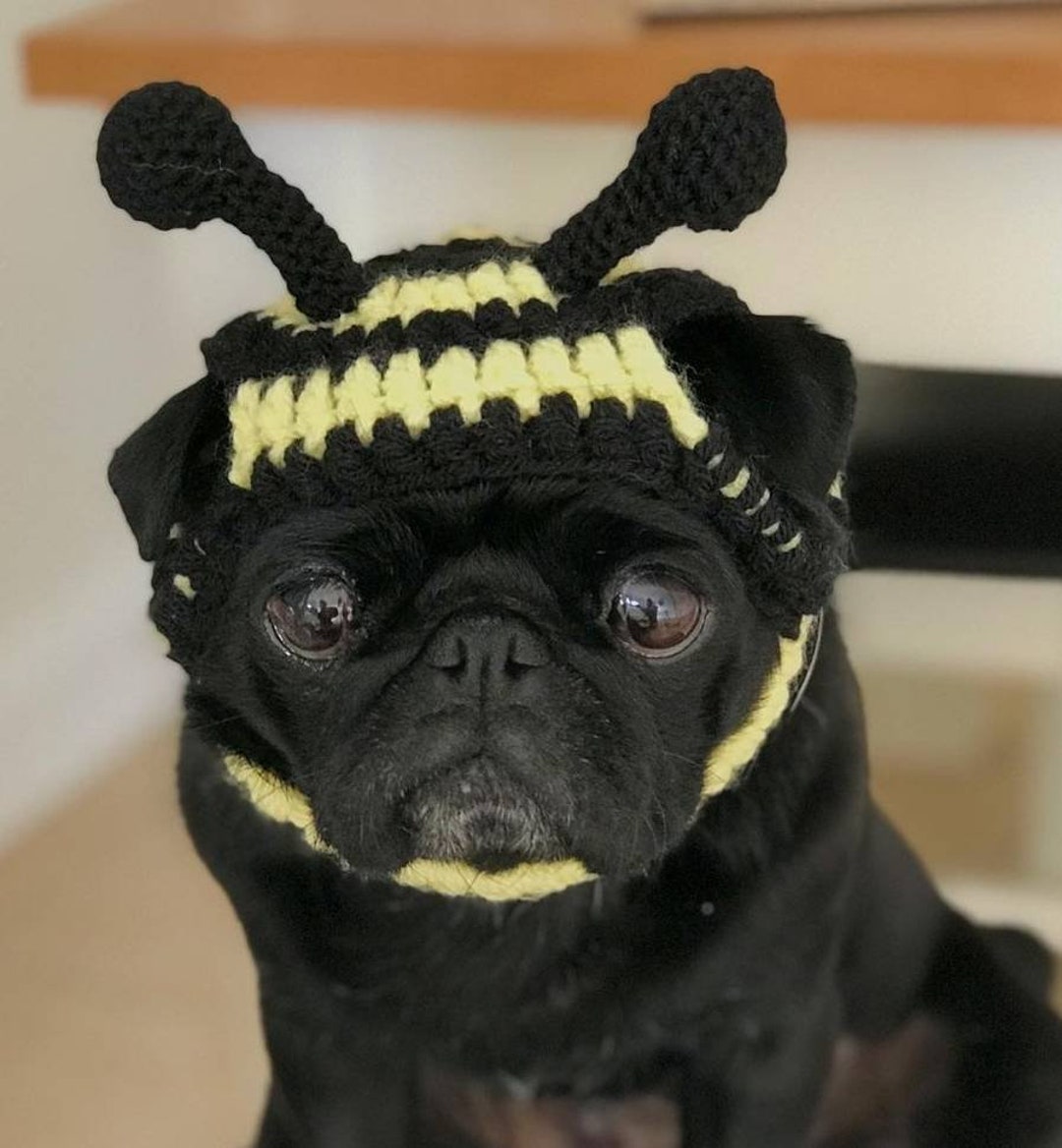Crochet Bumblebee Dog Hat; Bee Dog Hat; Bumblebee Hat; Crochet Pet Hat ...
