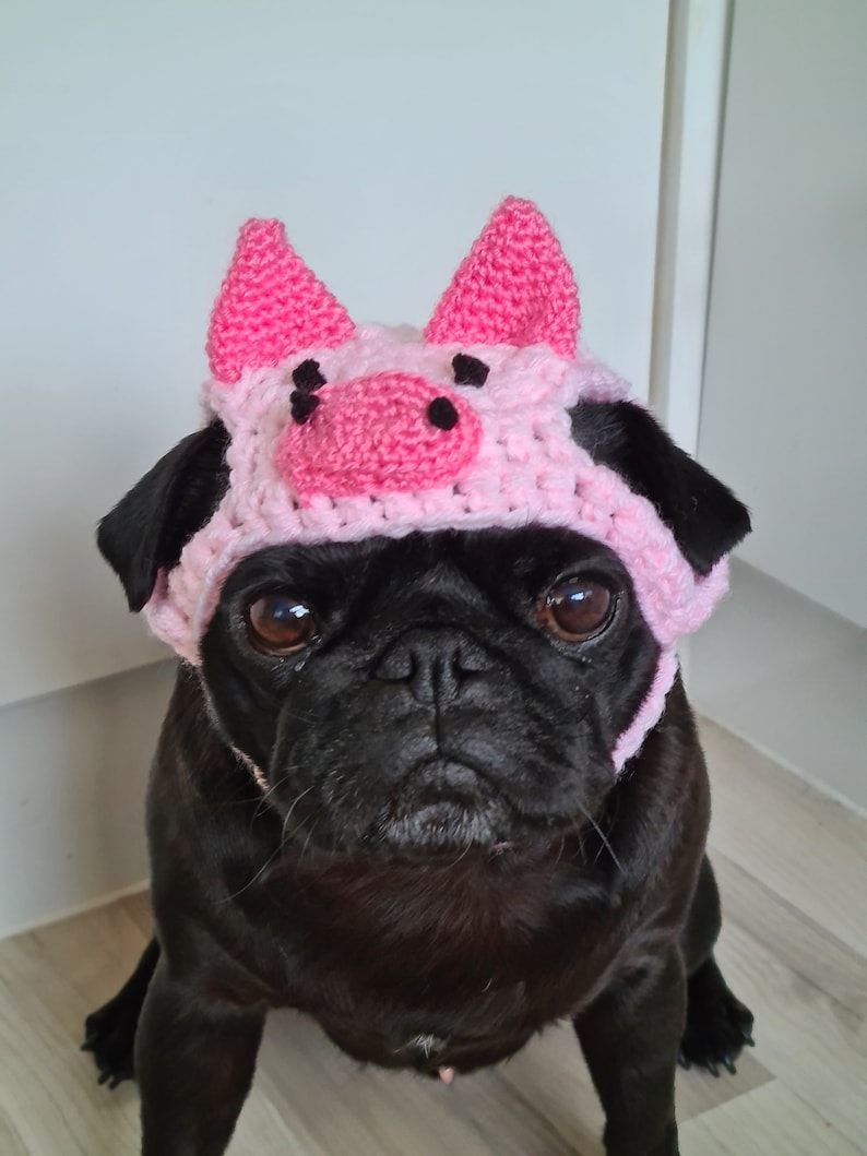 Chewies Piggy Dog Hat; Crochet Pig Hat; Piglet Pug Hat; Hats for Dogs ...