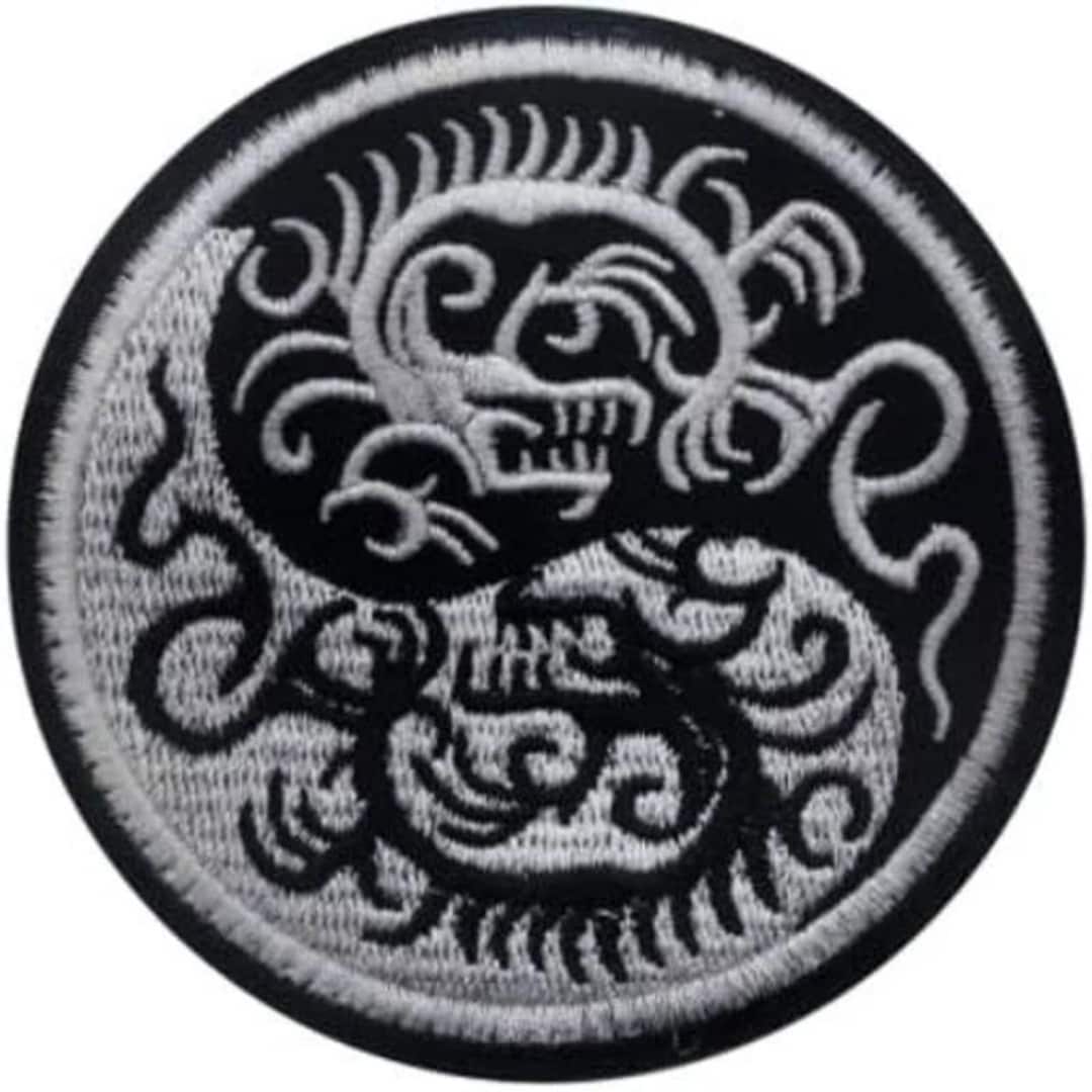 Thai Chi Patch (3 Inch) Fully Embroidered Iron-on or Sew-on Badge ...