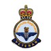 Parachute Regiment Veteran Patch 3 Inch Iron/sew-on Badge Emblem RAF ...