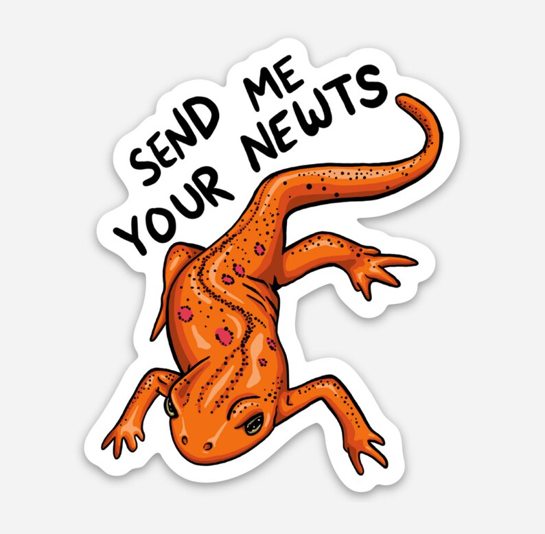 Send Me Your Newts Weatherproof Sticker, Herping, Salamander, Amphibian ...