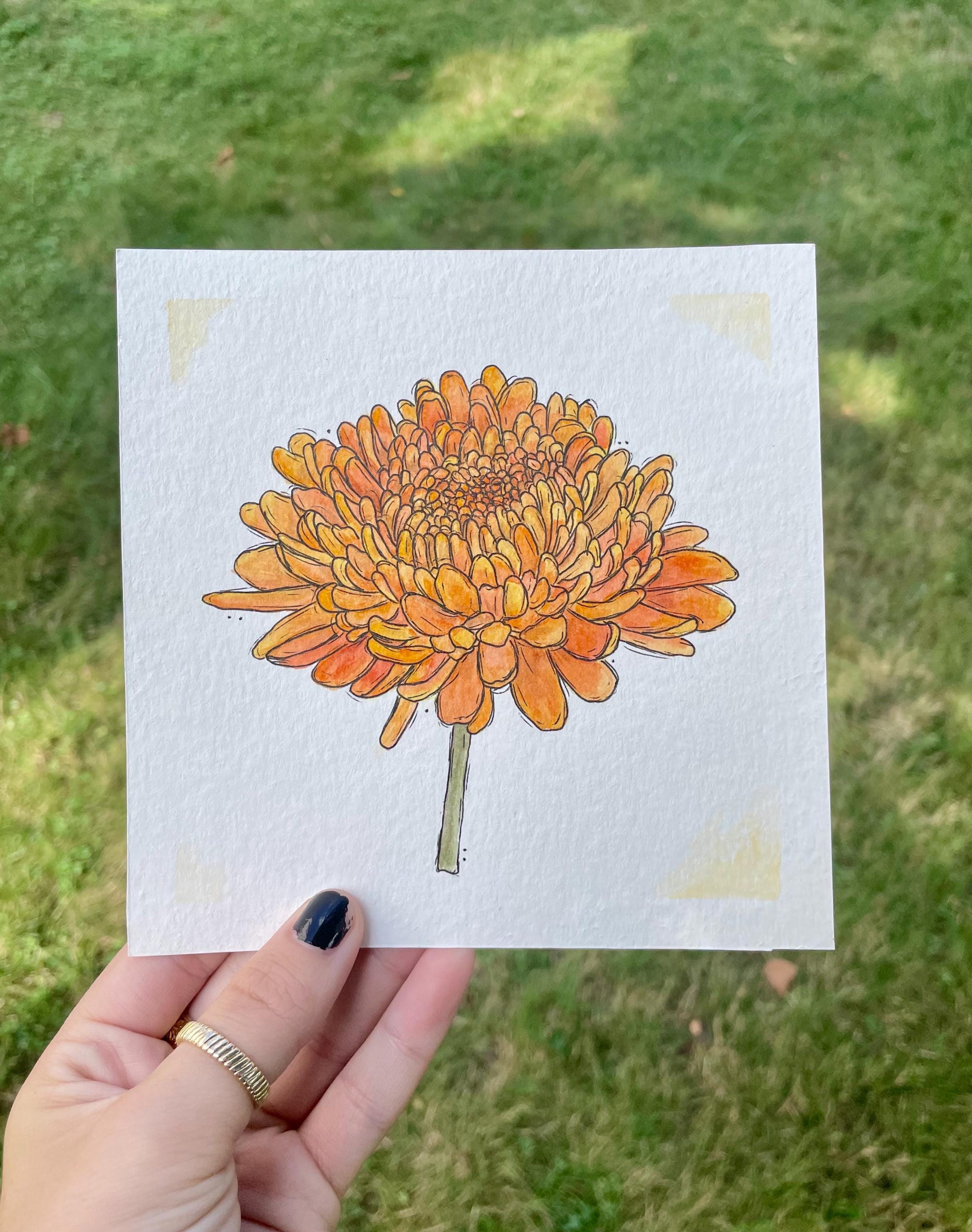 Original Fall Mum Watercolor Painting, Watercolor Art, Watercolor ...