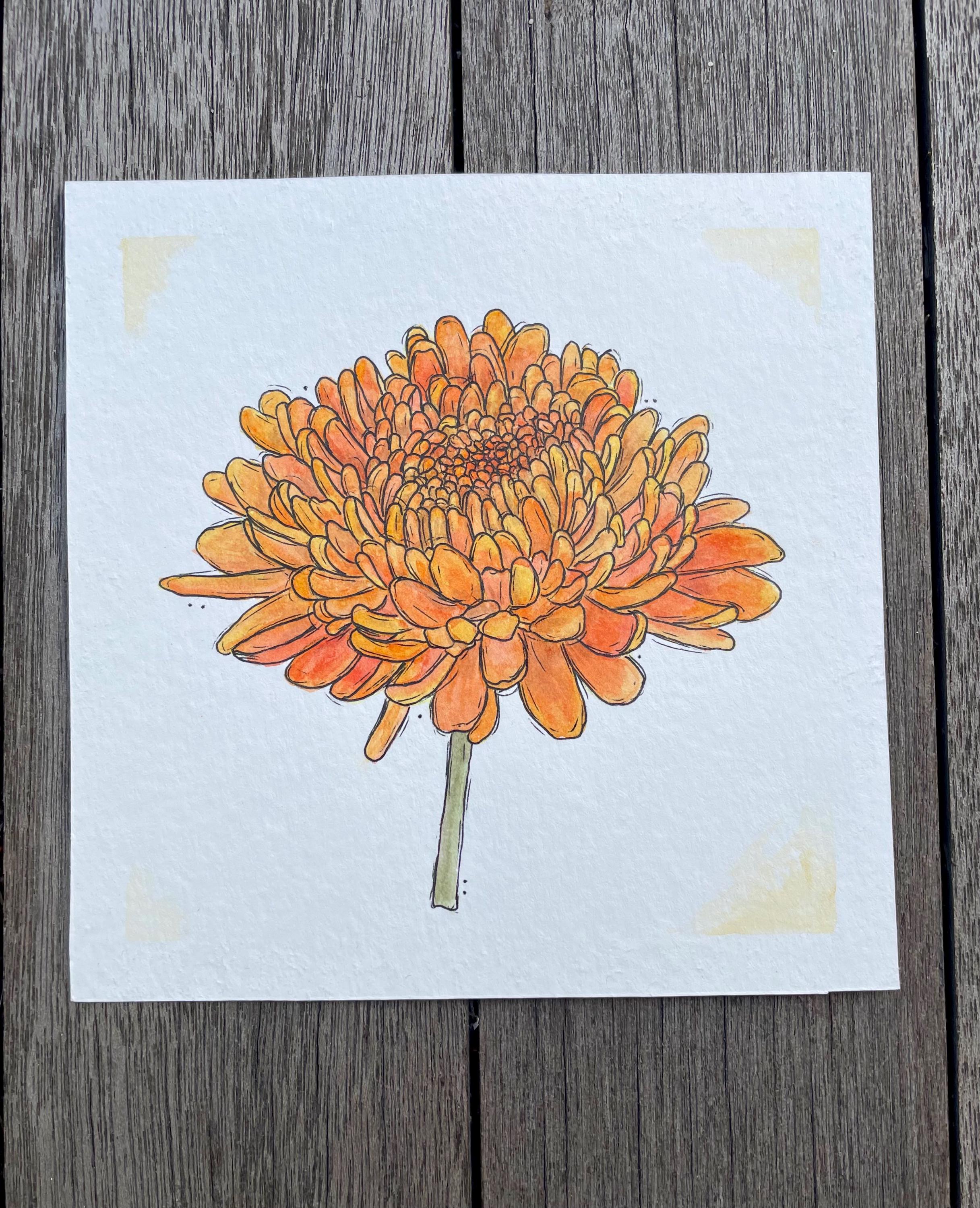 Original Fall Mum Watercolor Painting, Watercolor Art, Watercolor ...