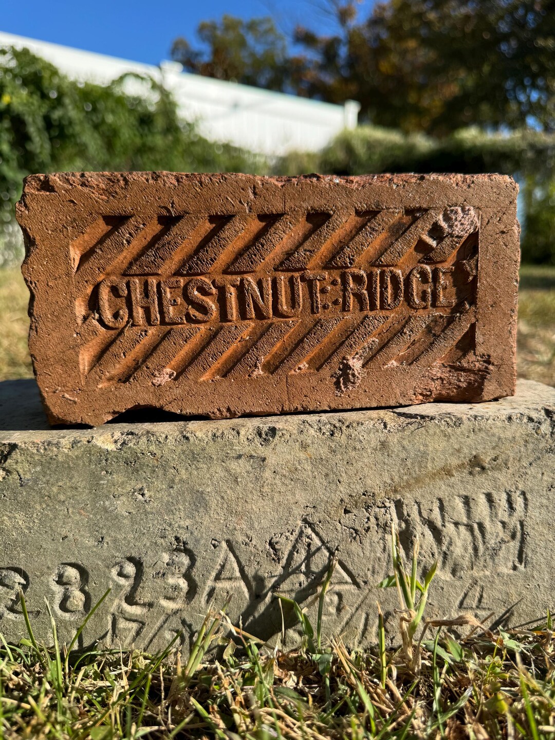 Reclaimed Brick CHESTNUT RIDGE 100 Year Old Brick Hand Made - Etsy
