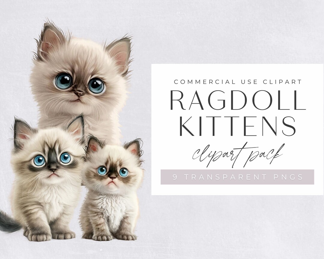Ragdoll Kittens Clipart Pack, Clip Art for Commercial Use, Transparent ...