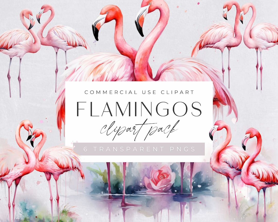 Flamingo Clipart Commercial Use, Pink Flamingos, Watercolor Tropical ...