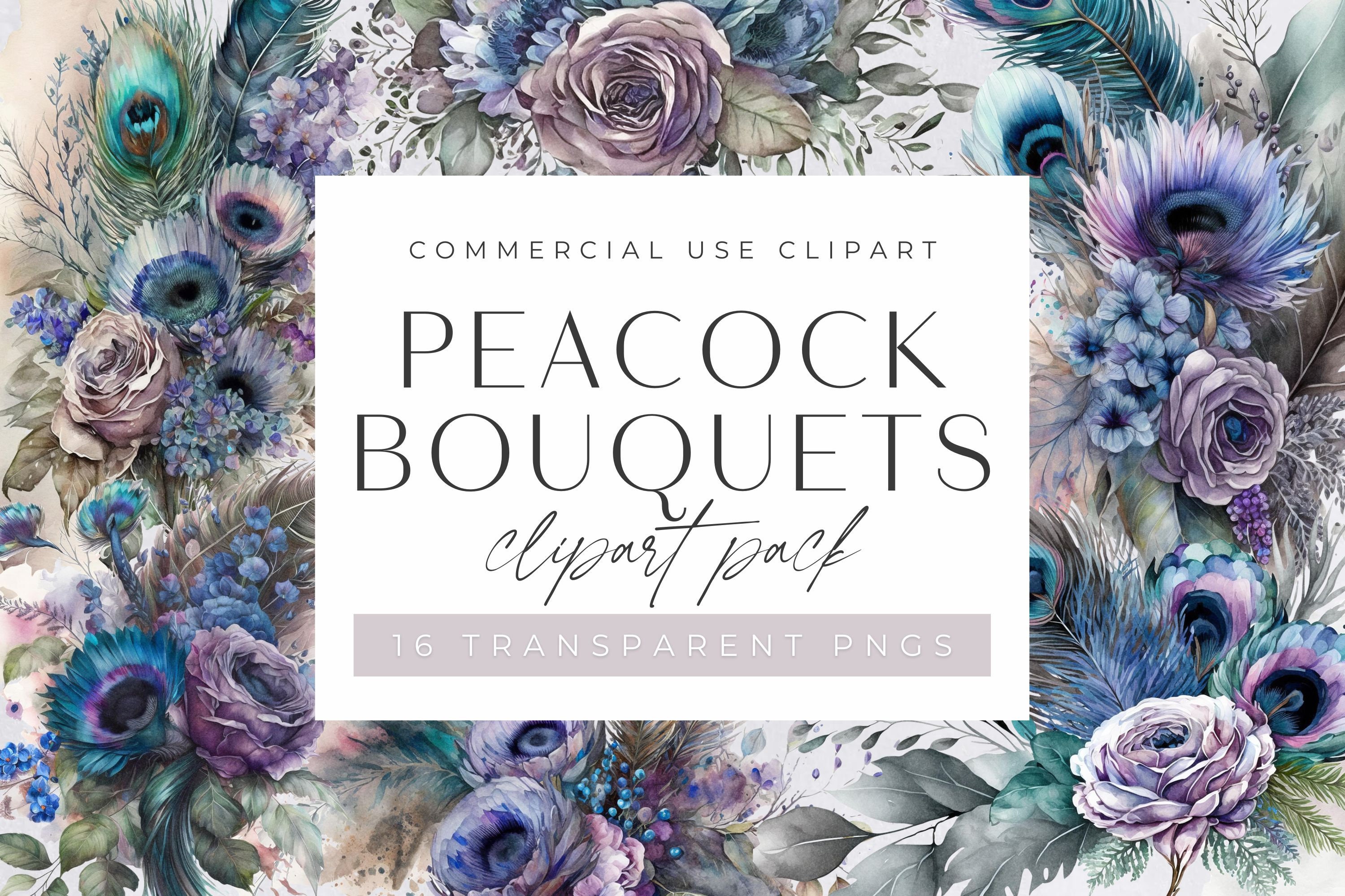 Purple Peacock Clip Art