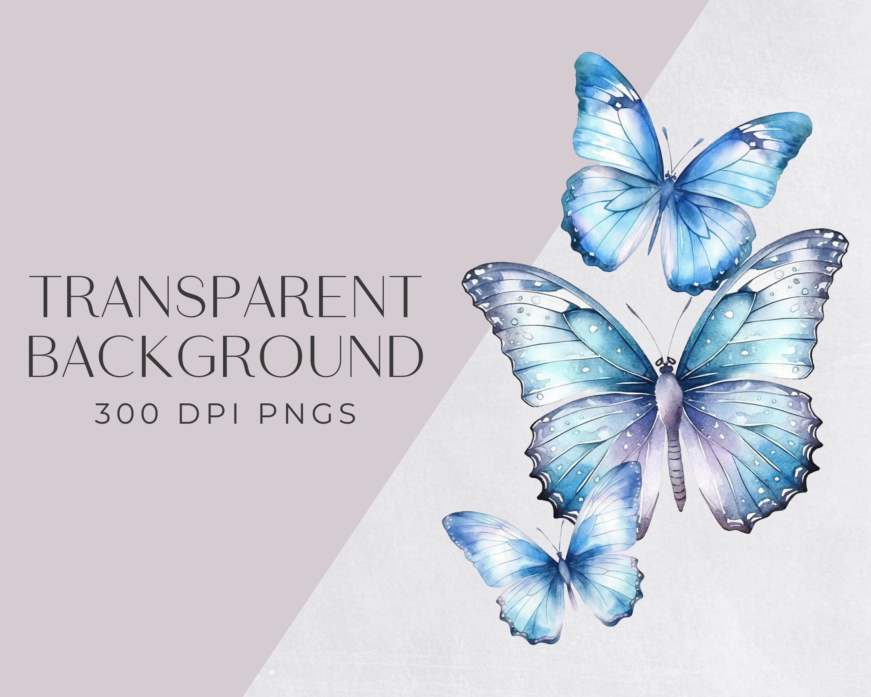 Light Blue Butterfly Background