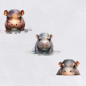 Hippo Clipart Watercolor, Hippopotamus Clipart for Commercial Use, Cute ...
