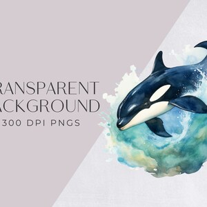 Orca Whale Clipart, Killer Whale, Marine Mammals, Big Fish, Ocean Life ...