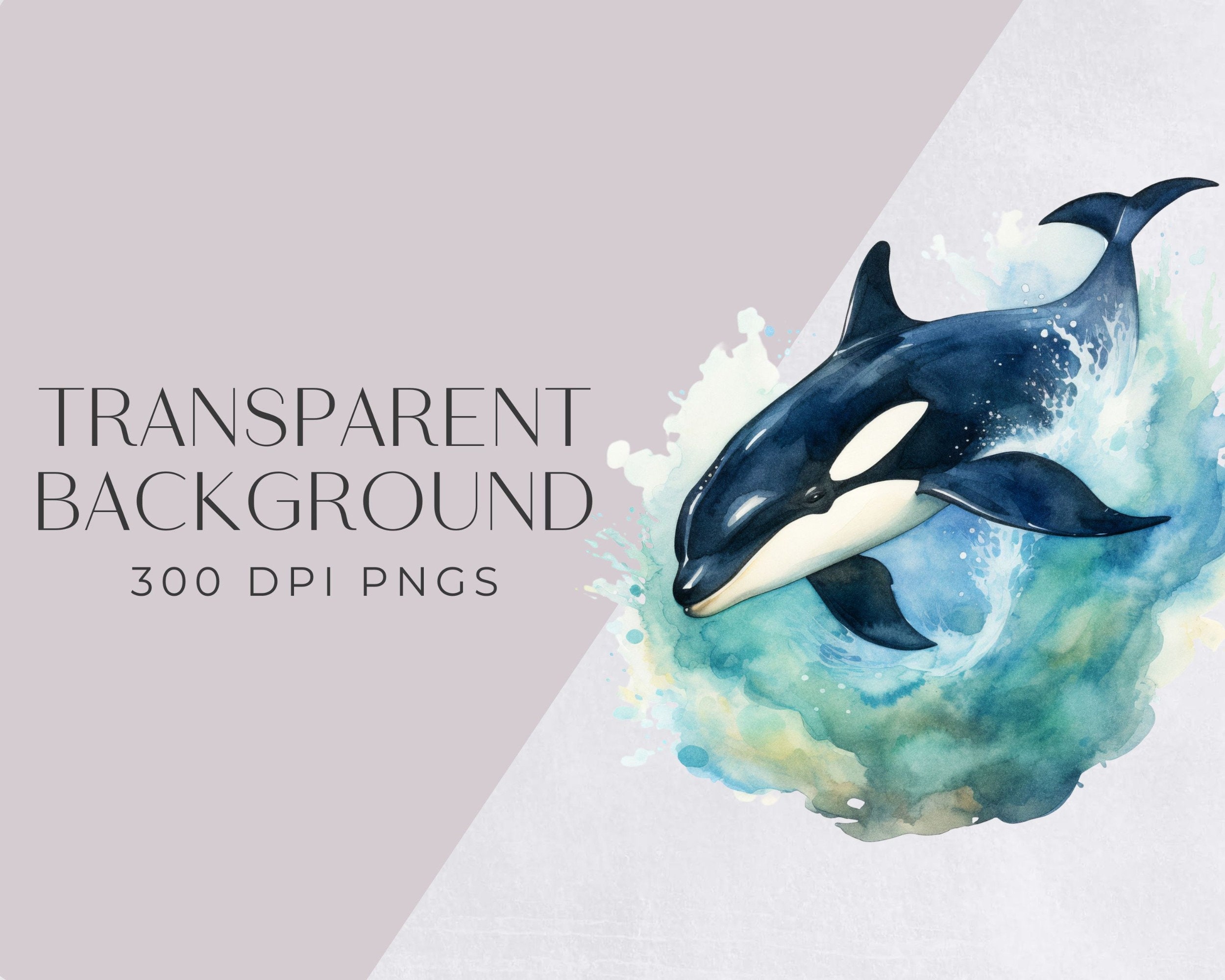 Orca Whale Clipart, Killer Whale, Marine Mammals, Big Fish, Ocean Life ...