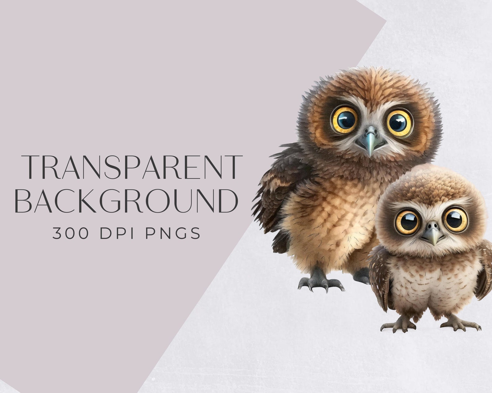 Little Owls Clipart Watercolor, Cute Clipart for Commercial Use ...