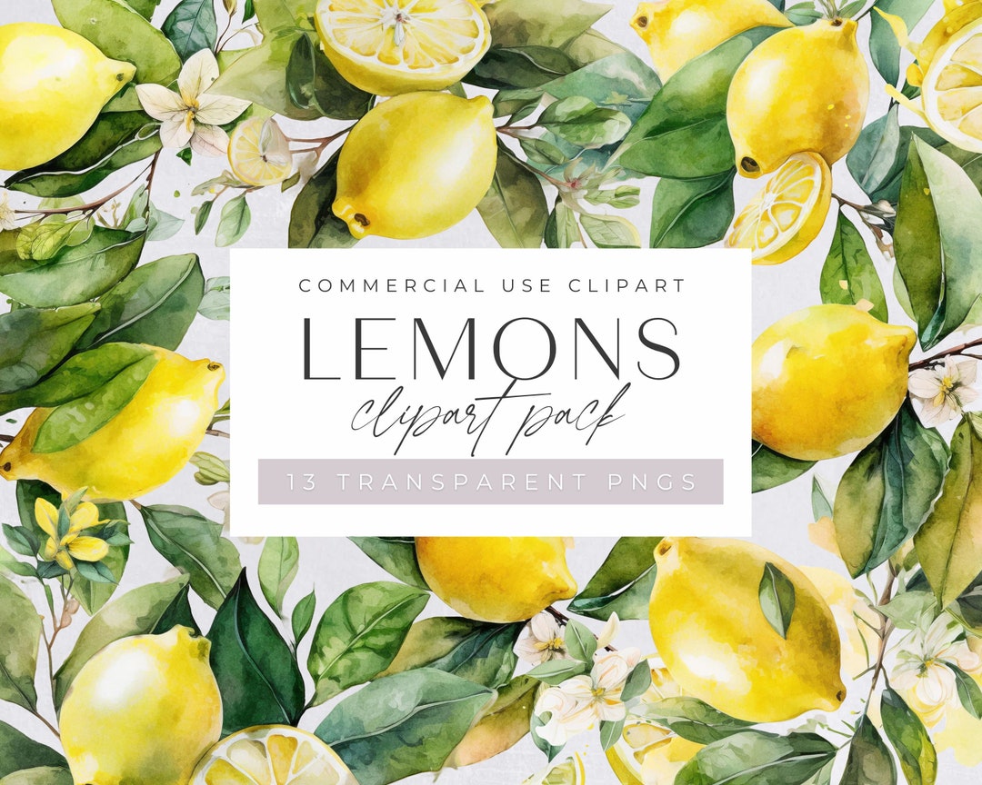 Watercolor Lemons Clipart , Summer Clip Art for Commercial Use ...