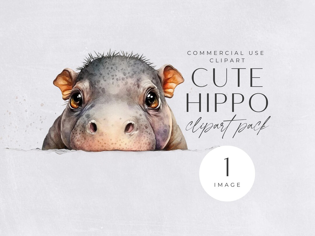 Baby Hippo Clipart | SINGLE IMAGE | Commercial Use, Transparent Pngs ...