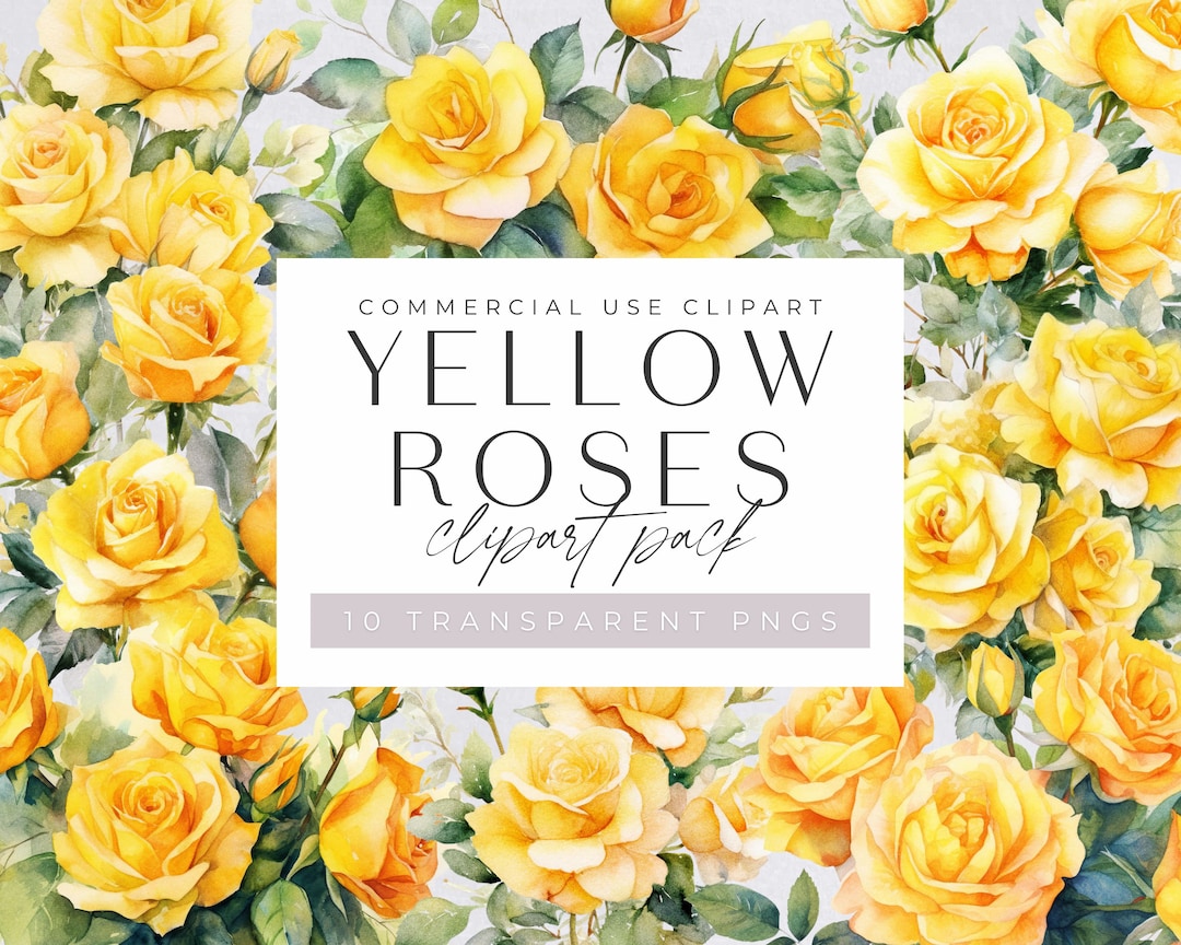 Yellow Roses Clipart Pack, Watercolor Rose, Summer Floral Bouquet for ...