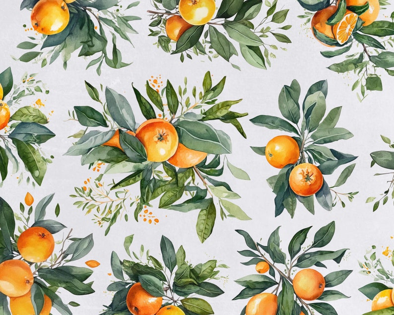 Watercolor Oranges Clipart , Tropical Summer Clip Art for Commercial ...