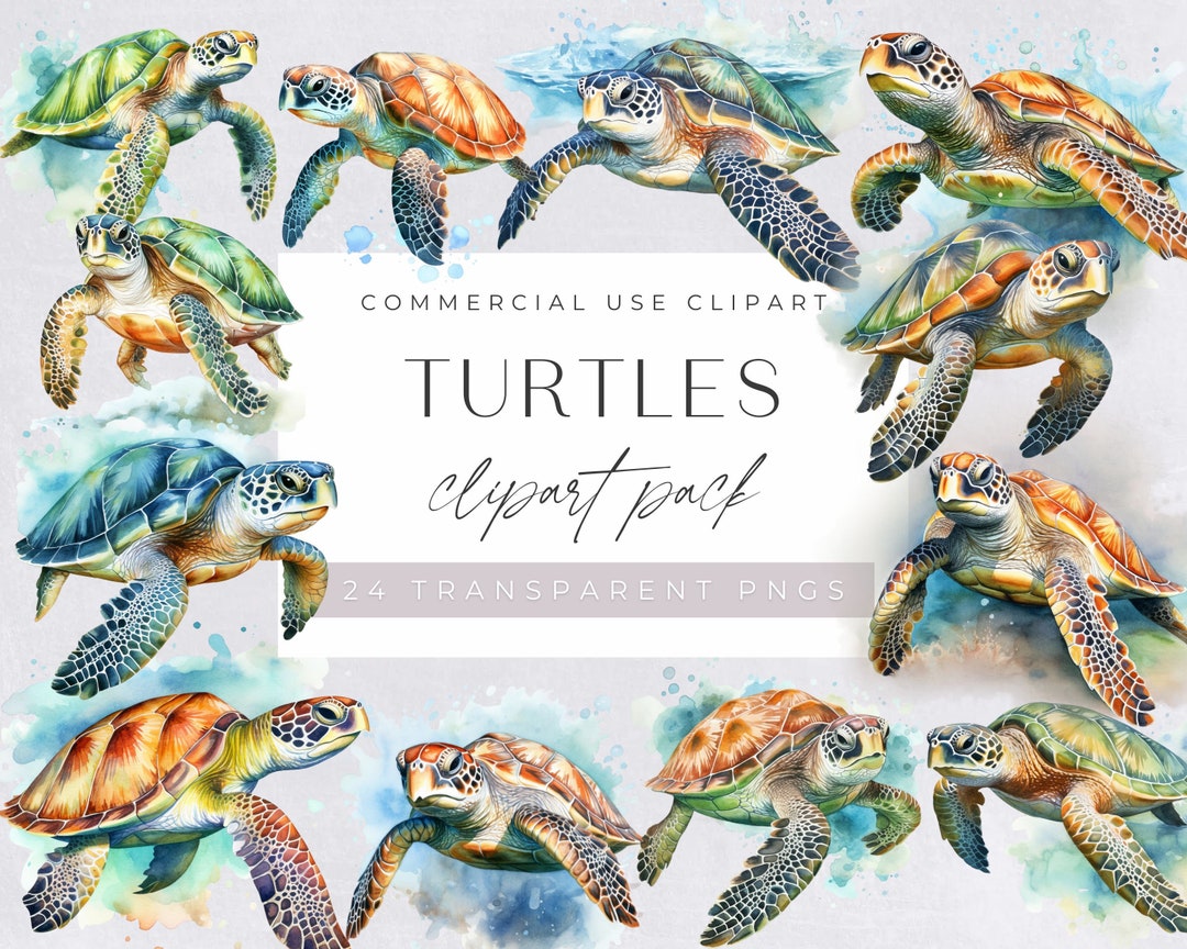 Sea Turtle Clipart Pack, Ocean Animals Png, Tortoise Svg, Sea Creature ...