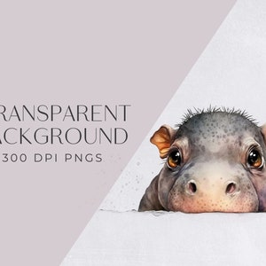 Hippo Clipart Watercolor, Hippopotamus Clipart for Commercial Use, Cute ...