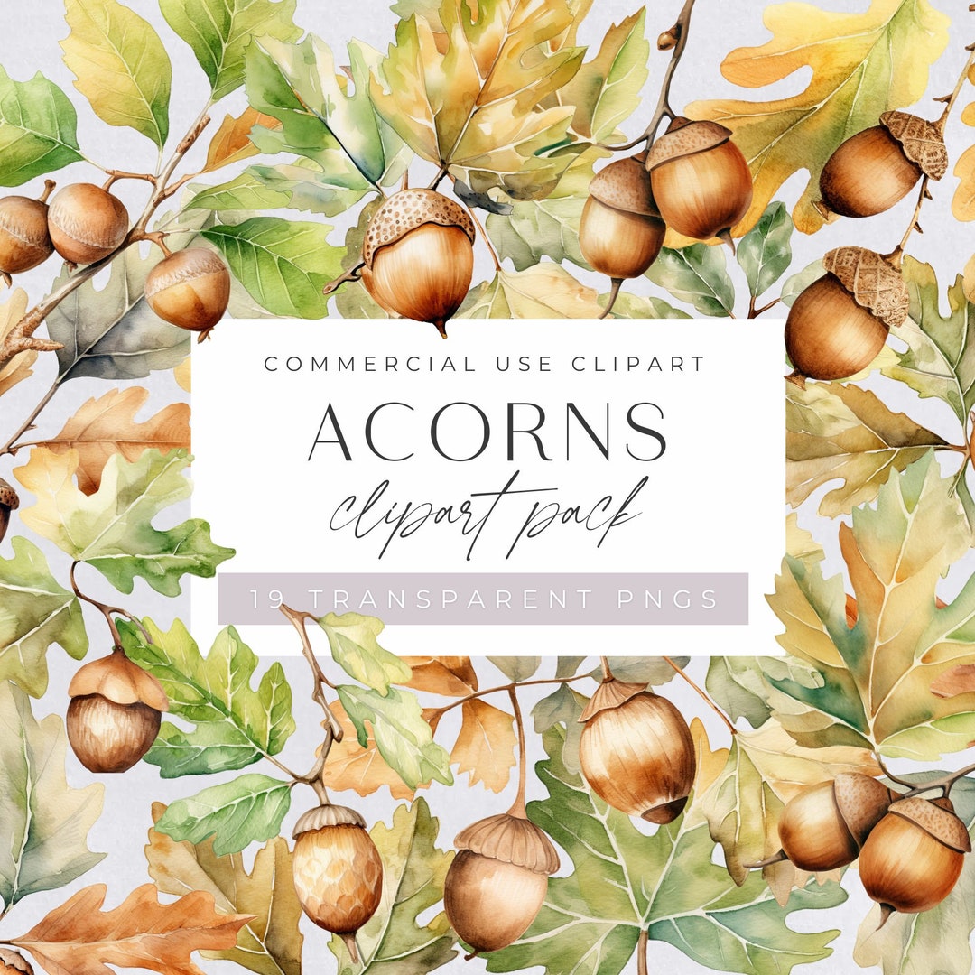 Acorns Clipart Bundle, Squirrel, Watercolor Oak Leaf, Fall Leaves ...