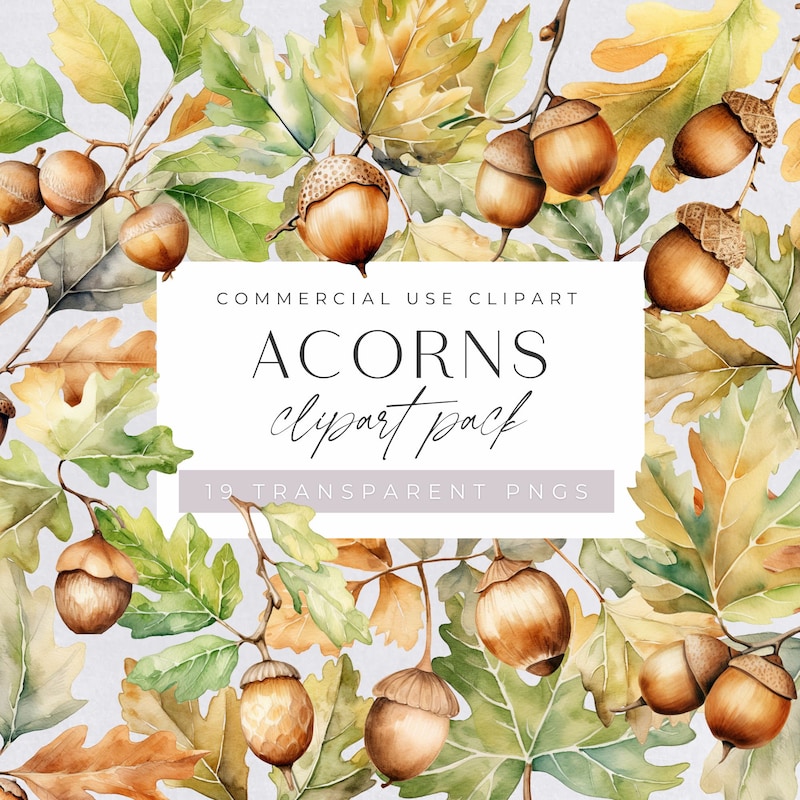 Acorn Clipart - Etsy
